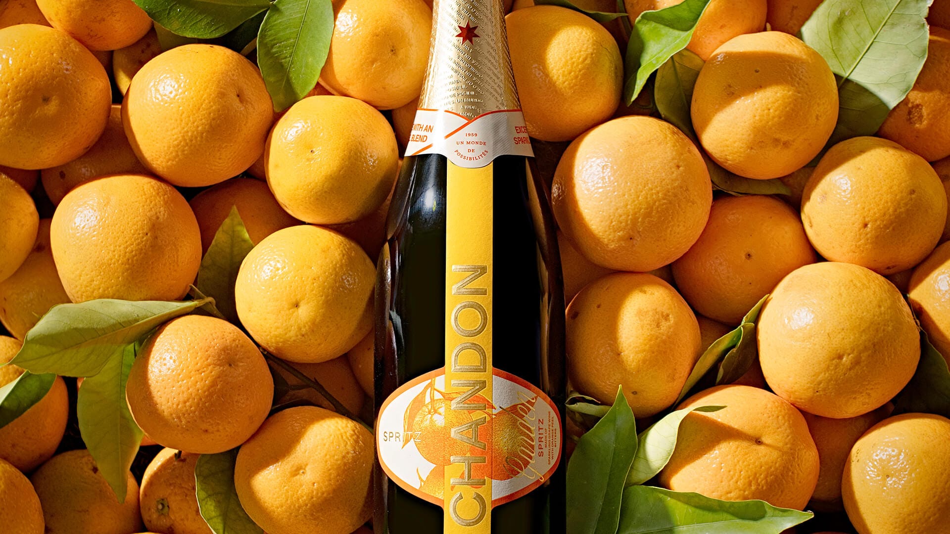 Moet Hennessy Onze Merken — Moët Hennessy Nederland