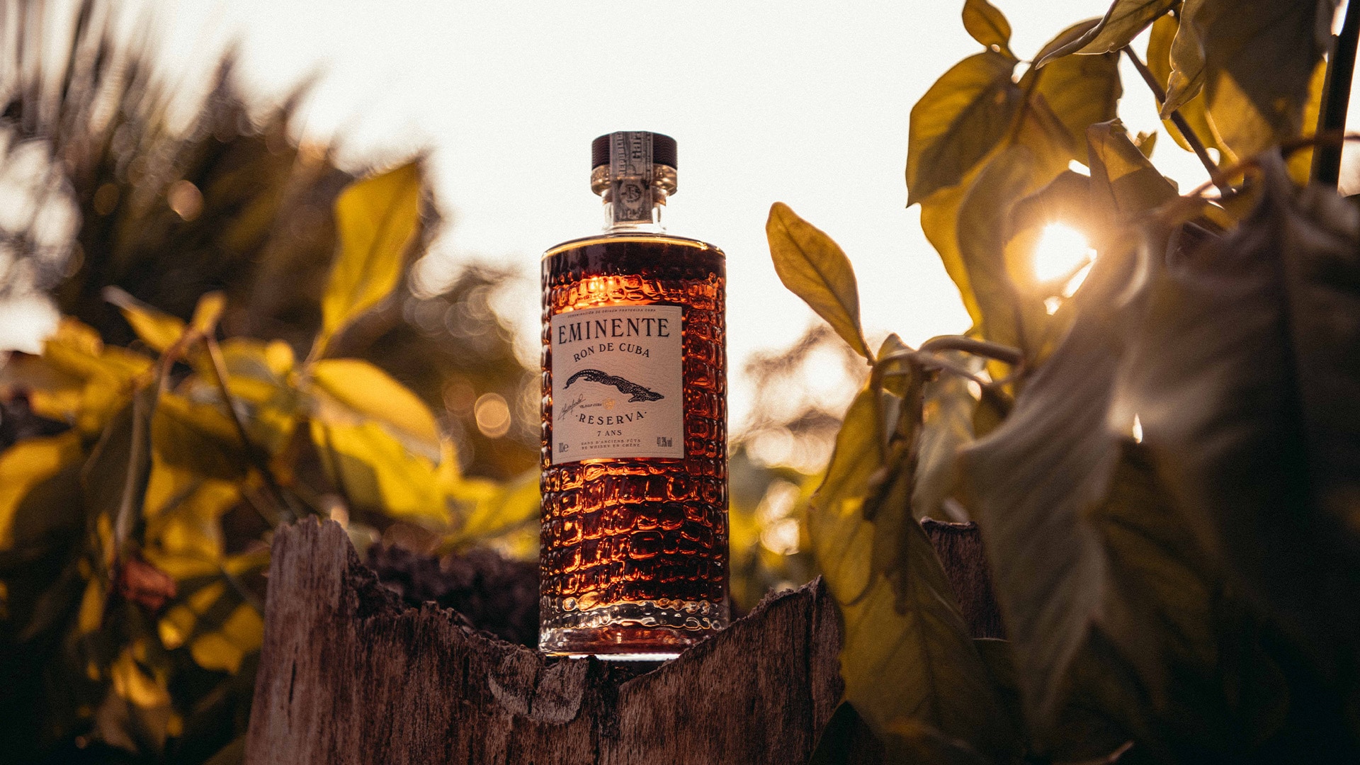 Eminente — Moët Hennessy Nederland