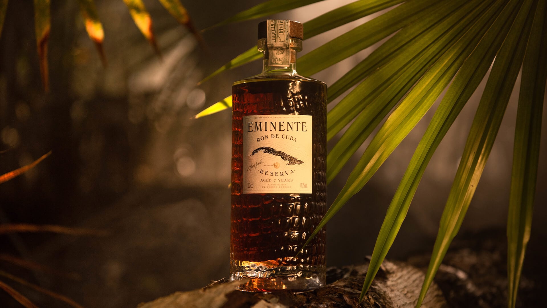 Onze Merken — Moët Hennessy Nederland