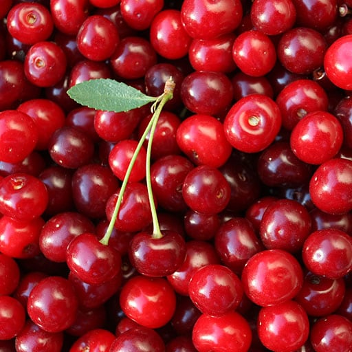 Ice Rosé — Moët Hennessy Nederland